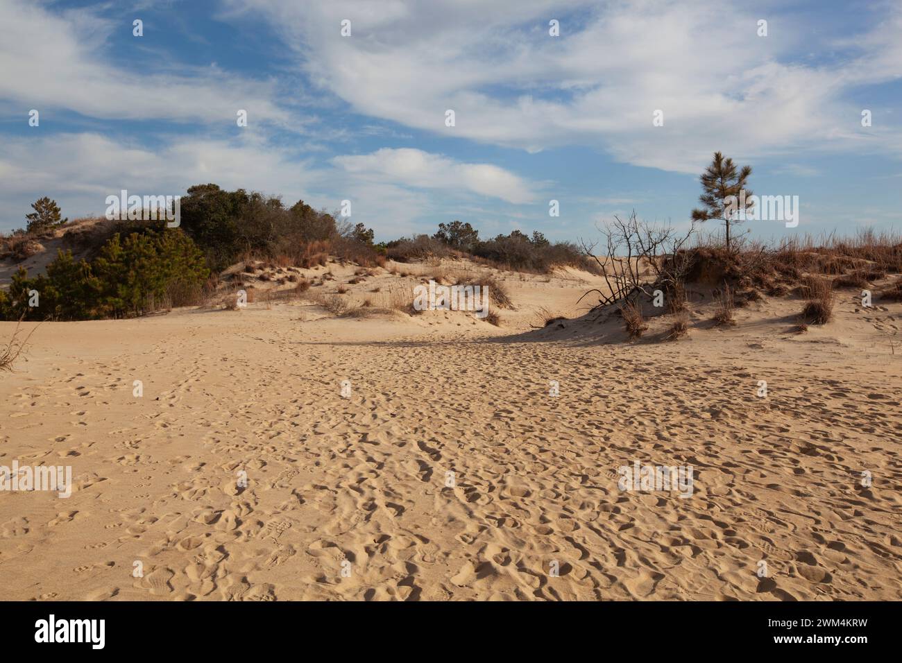 A scenic view of sand dunes at Jockey's Ridge State Park in the Outer ...