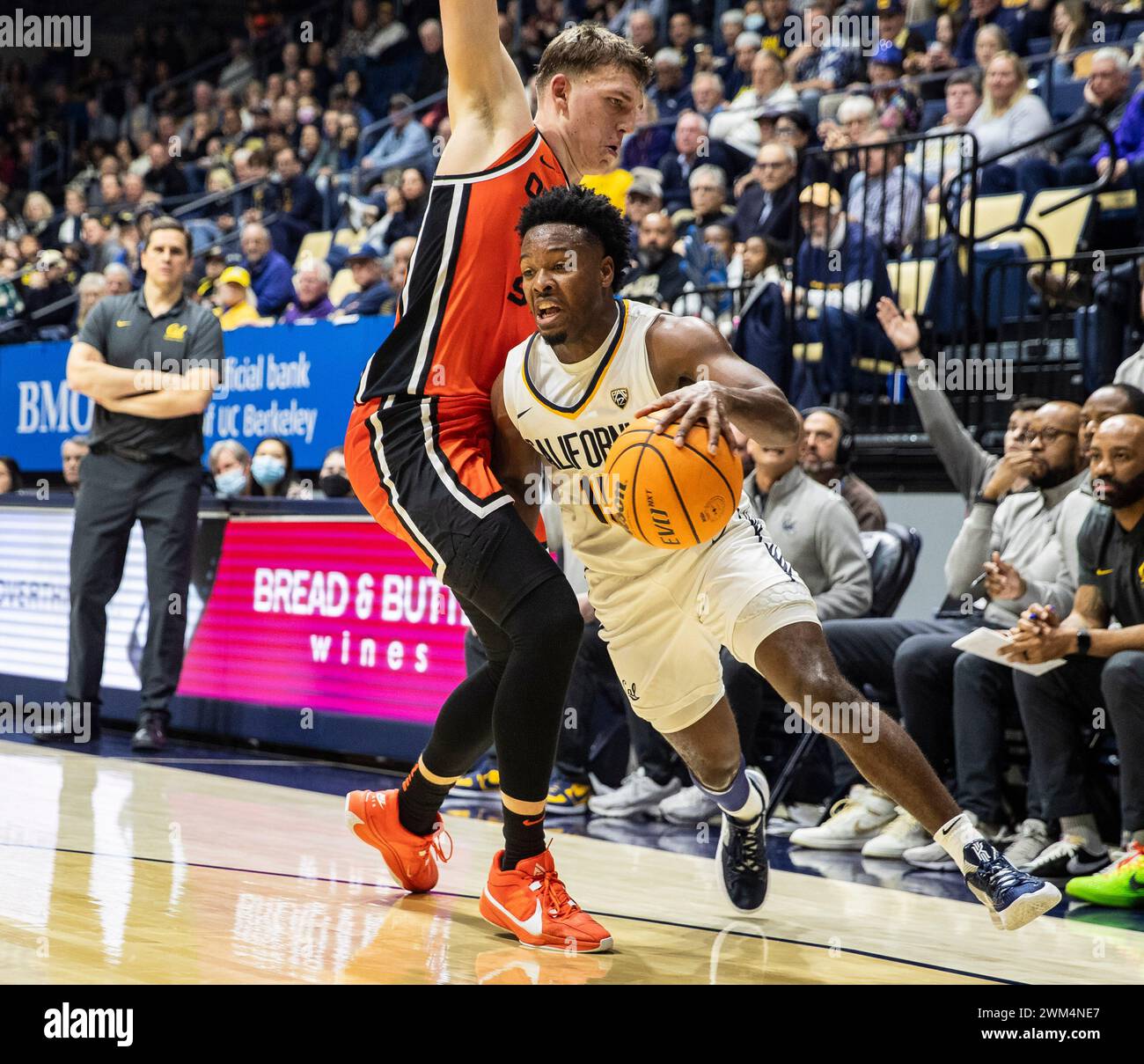 Haas Pavilion Berkeley Calif, USA. 22nd Feb, 2024. CA U.S.A. California ...