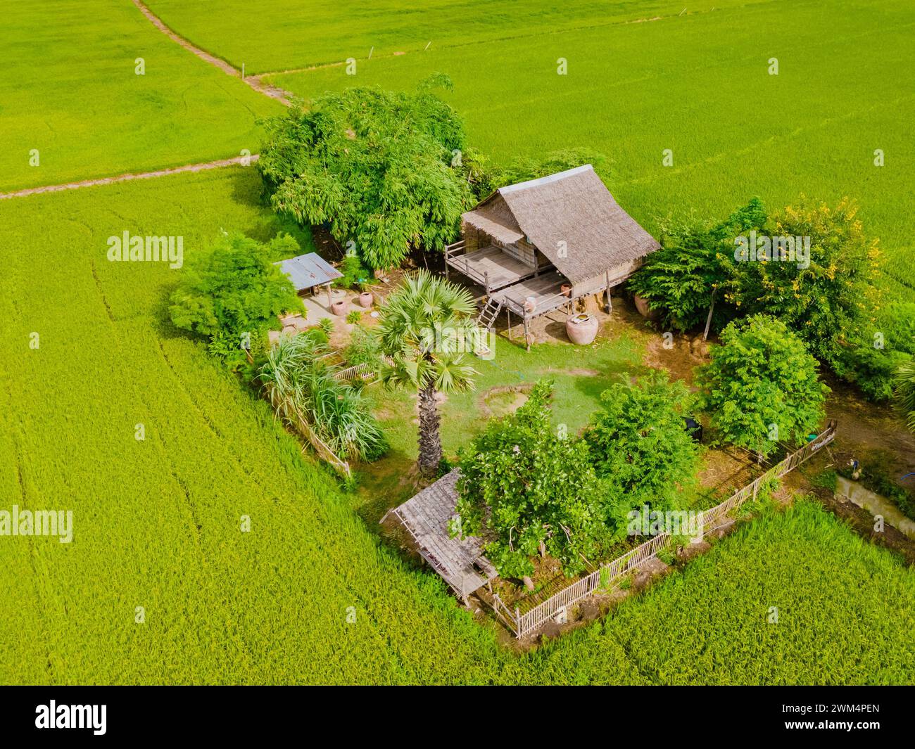 Bamboo hut homestay farm with Green rice paddy fields in Central ...
