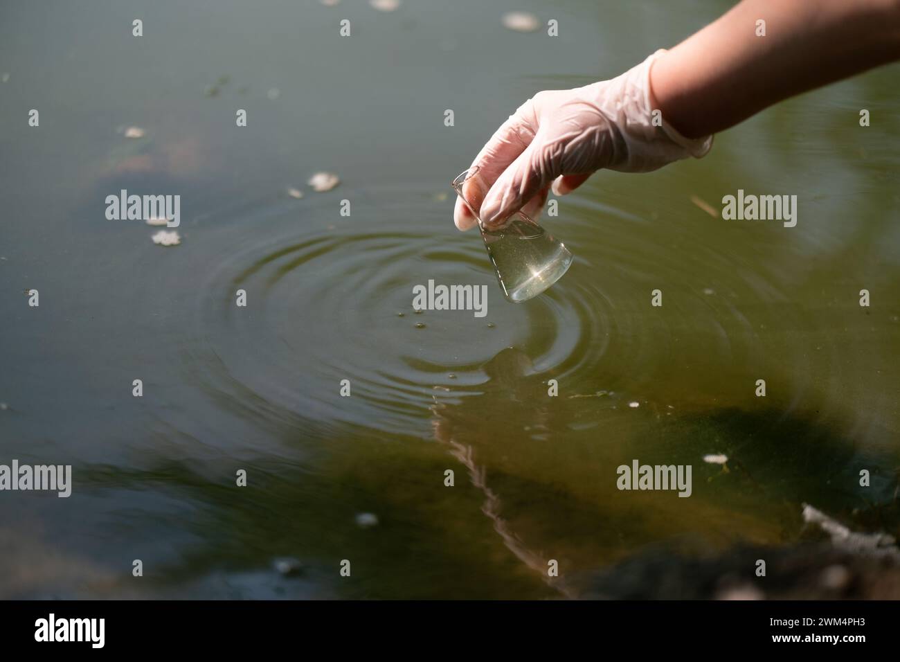 Sampling water for testing. Study of the quality of waste and drinking ...