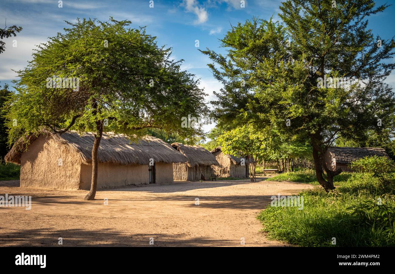 Traditional mud and wood thatched huts, or enkangs, in a Maasai village ...
