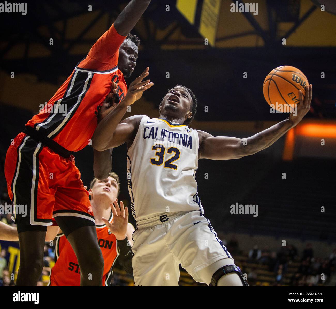 Haas Pavilion Berkeley Calif, USA. 22nd Feb, 2024. CA U.S.A. California ...