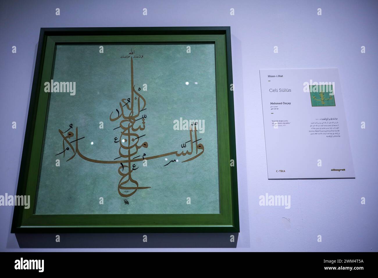 February 22, 2024: Tunis, Tunisia. 22 February 2024. An exhibition of a ...