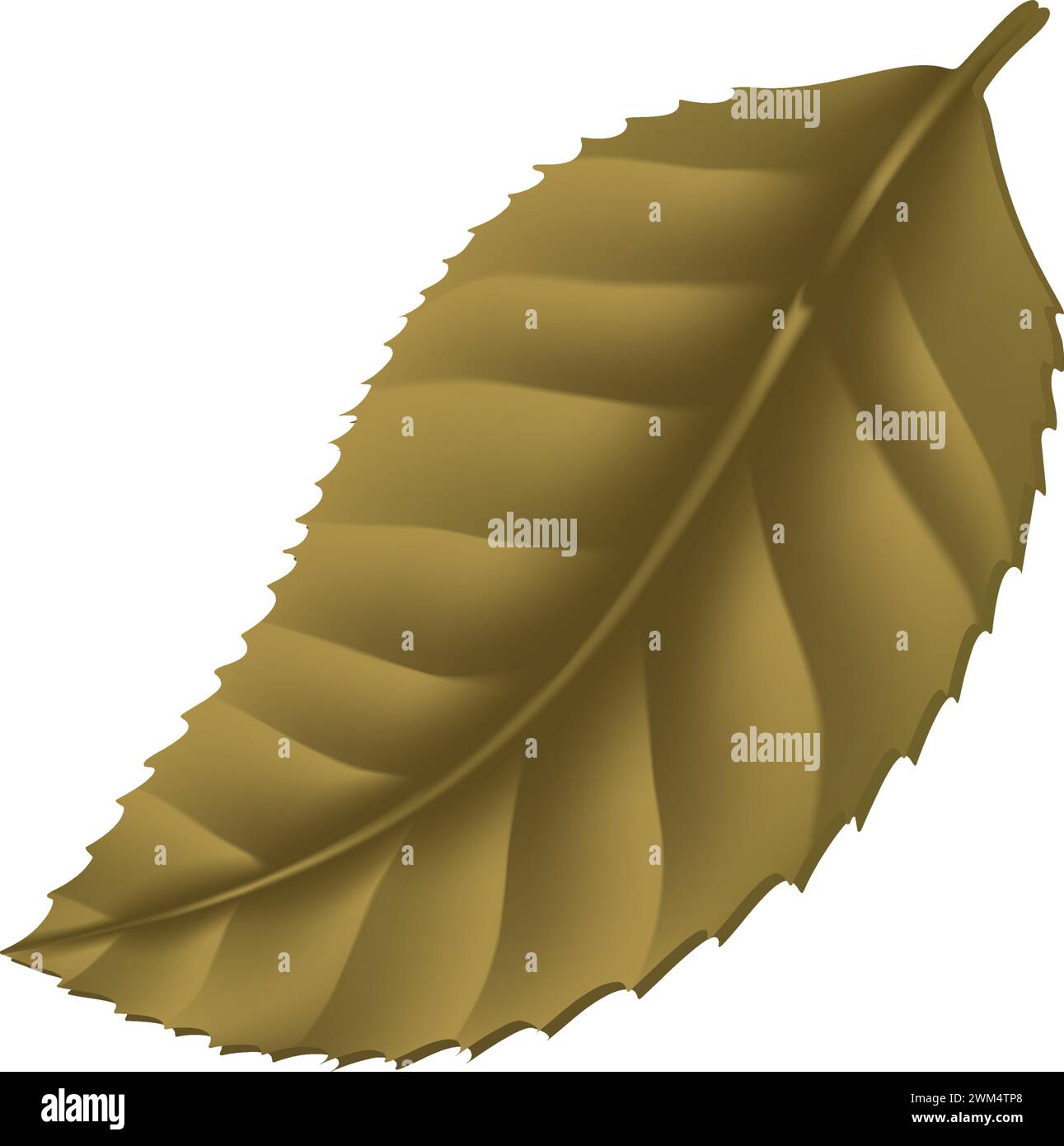 Colored detailed leaf Vector Stock Vector Image & Art - Alamy