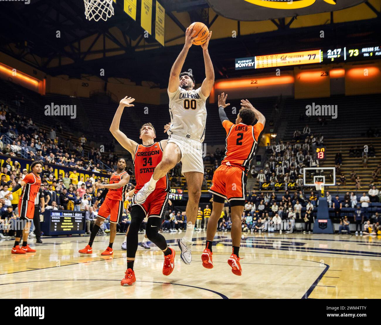 Haas Pavilion Berkeley Calif, USA. 22nd Feb, 2024. CA U.S.A. California ...