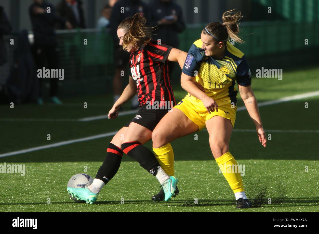 2024 afc hi-res stock photography and images - Alamy