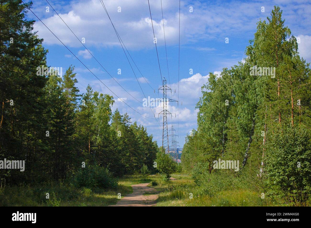 Power line tower forest hi-res stock photography and images - Alamy