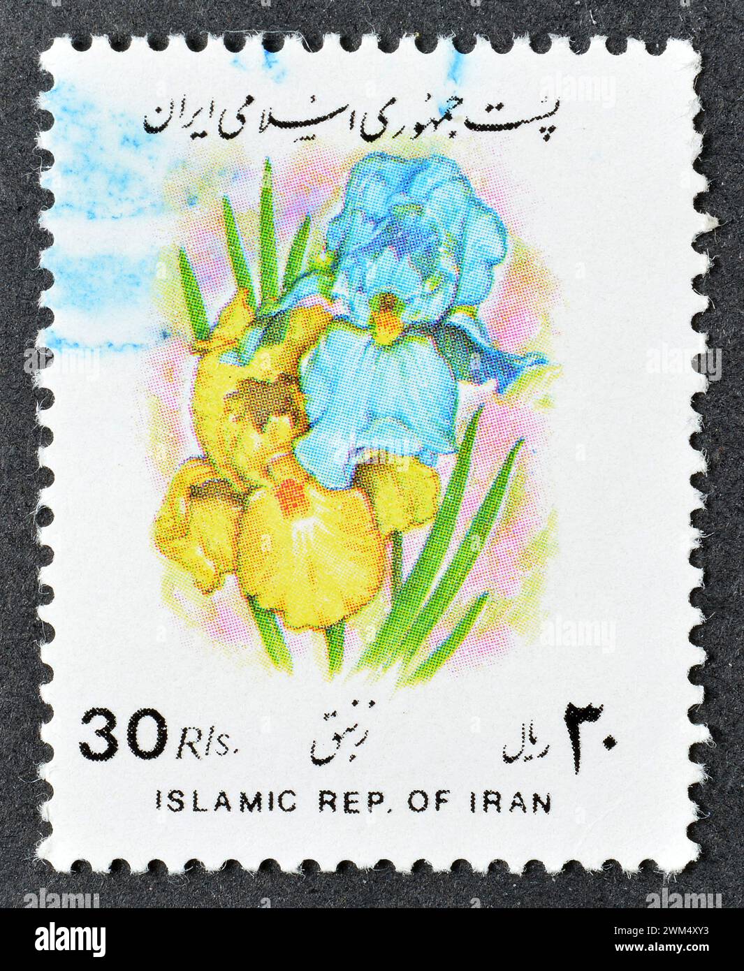 Cancelled postage stamp printed by Iran, that shows Iris (Iris sp ...