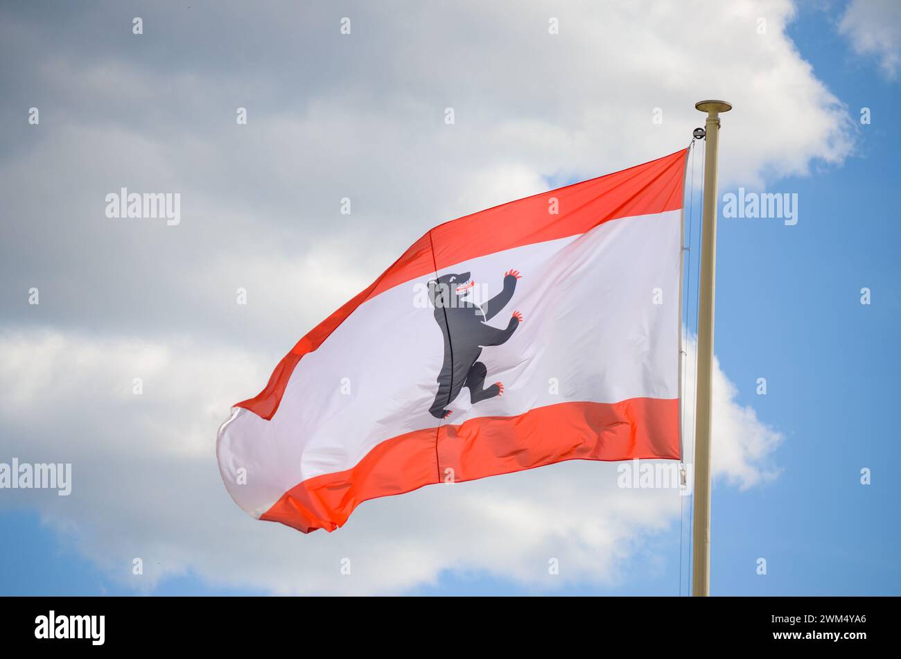 Berlin flag waving in the wind. Flag of German state Berlin flying on a flagpole. Black bear ...