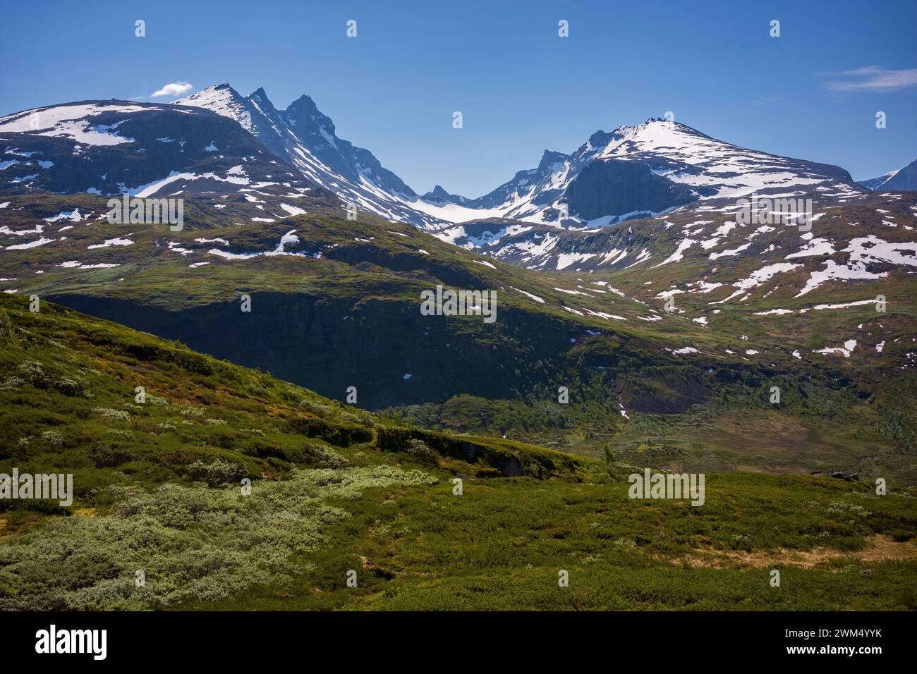 The famous National Tourist Route "Sognefjellsvegen" is where tourists ...