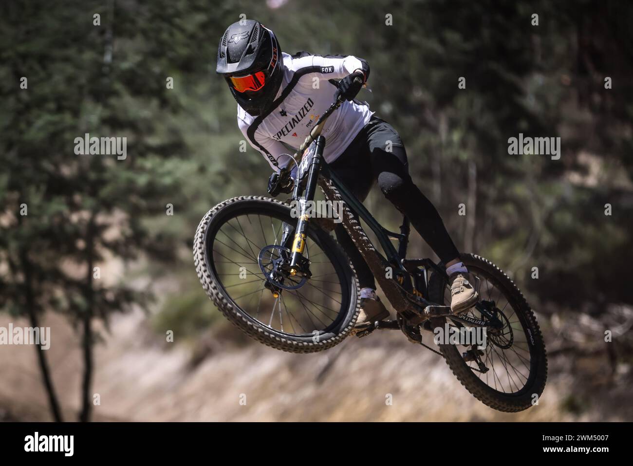 Maydena, Tasmania, Australia. 24th Feb, 2024. MAYDENA, AUSTRALIA ...