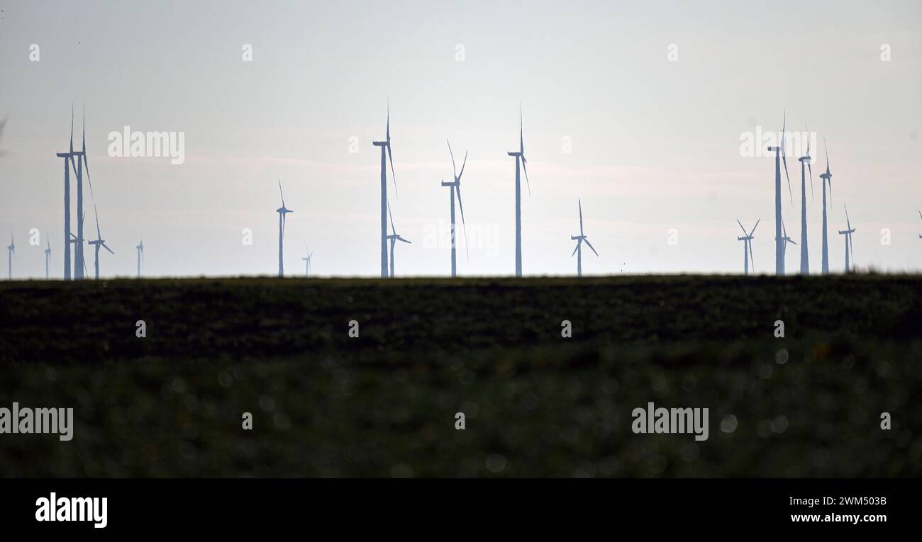 24 February 2024, Mecklenburg-Western Pomerania, Bützow: A wind farm in ...