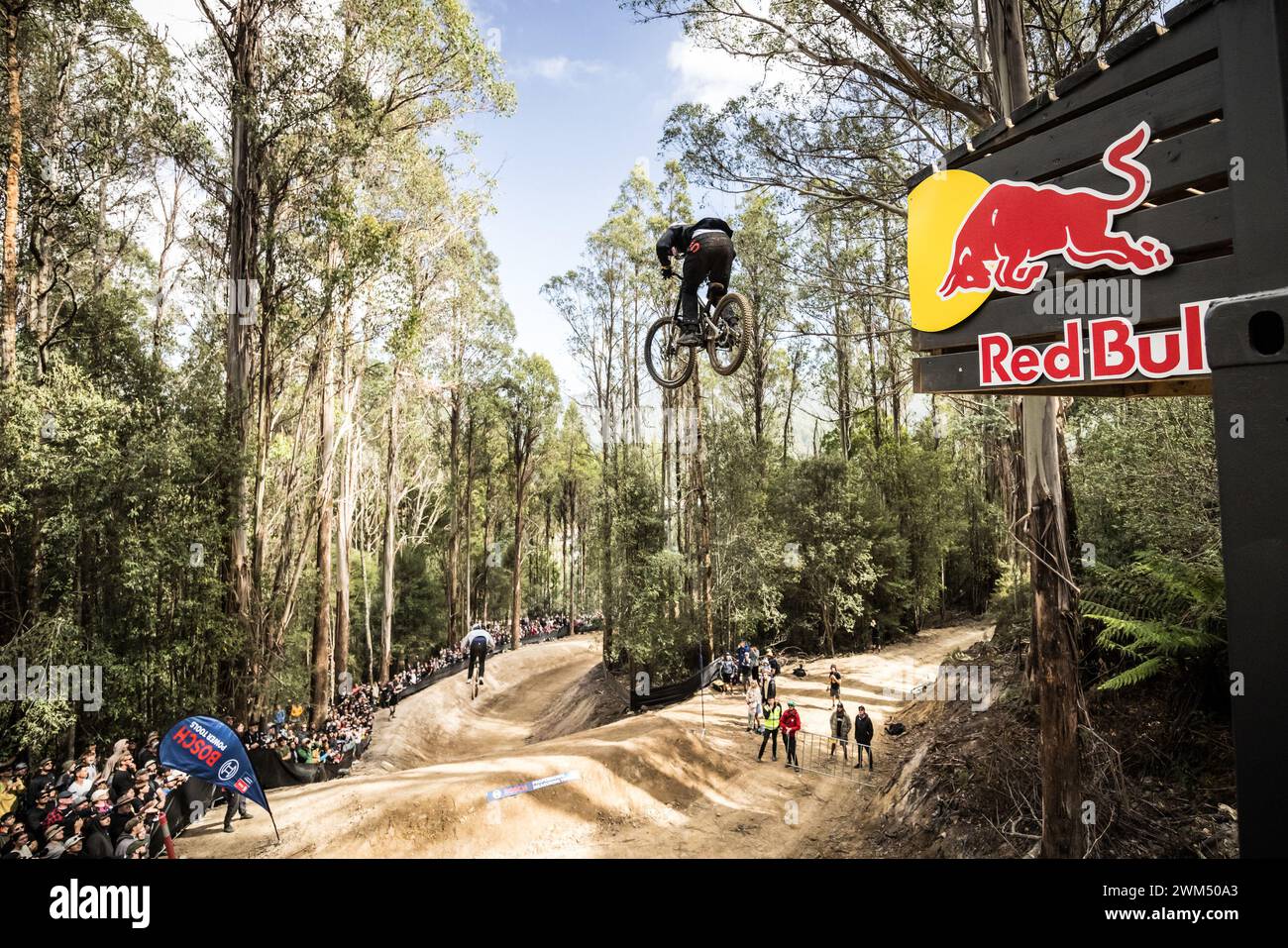 Maydena, Tasmania, Australia. 24th Feb, 2024. MAYDENA, AUSTRALIA ...