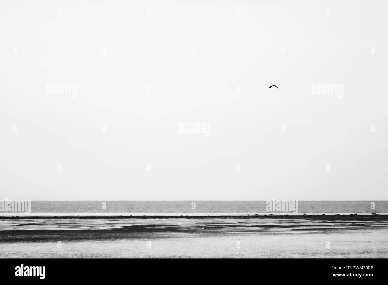 Person flying over Black and White Stock Photos & Images - Alamy