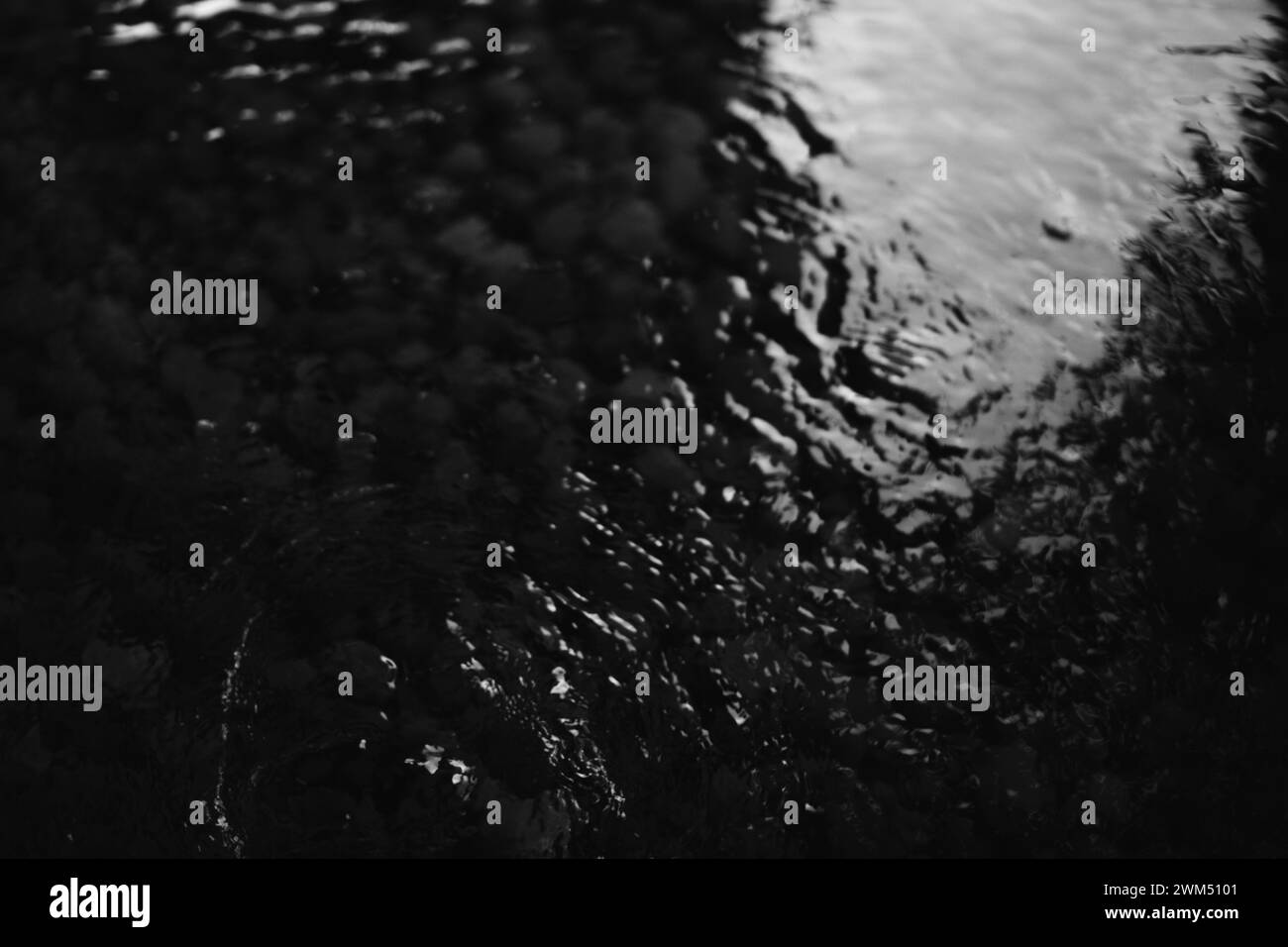 Shining water drop Black and White Stock Photos & Images - Alamy