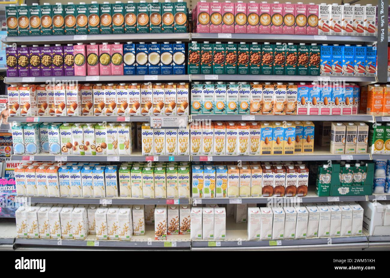 London, England, UK. 24th Feb, 2024. Plant-based milk alternatives on ...