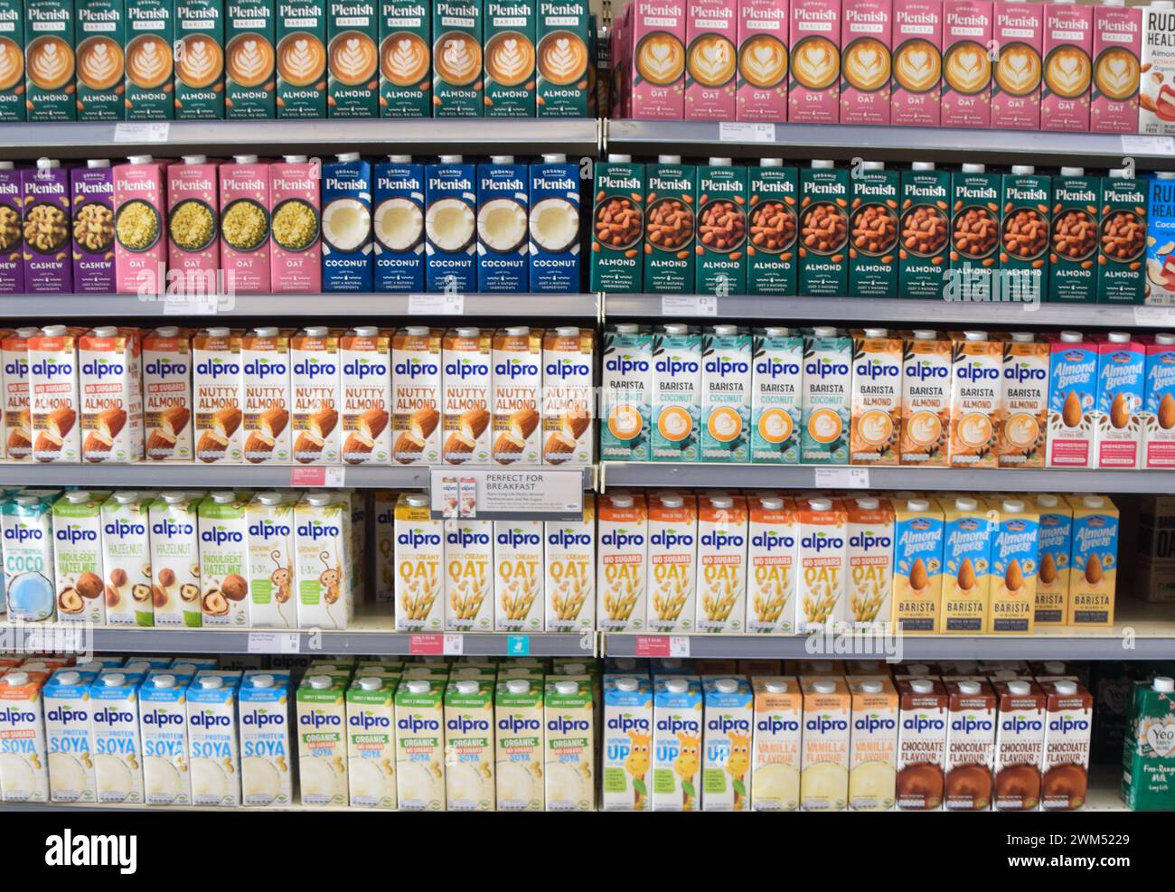London, England, UK. 24th Feb, 2024. Plant-based milk alternatives on ...