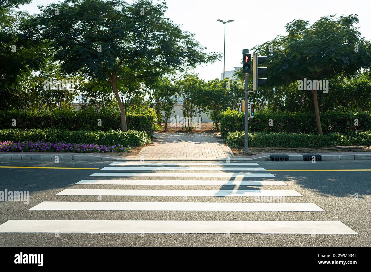 White stripes of pedestrian crossing. white road markings on the ...