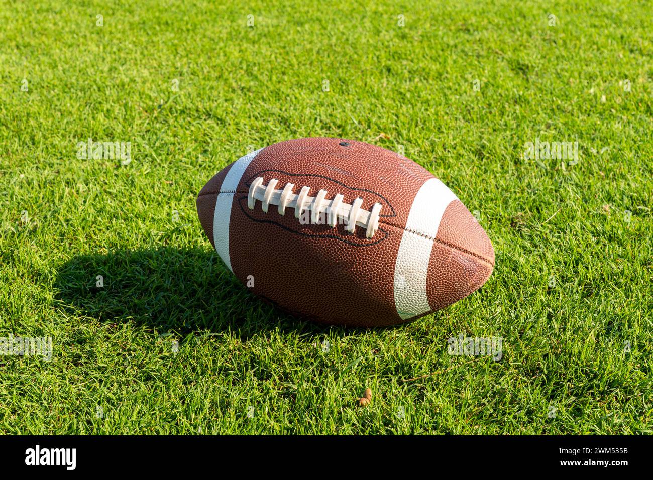 Rugby ball on a patch of grass. national sport in the United States of ...