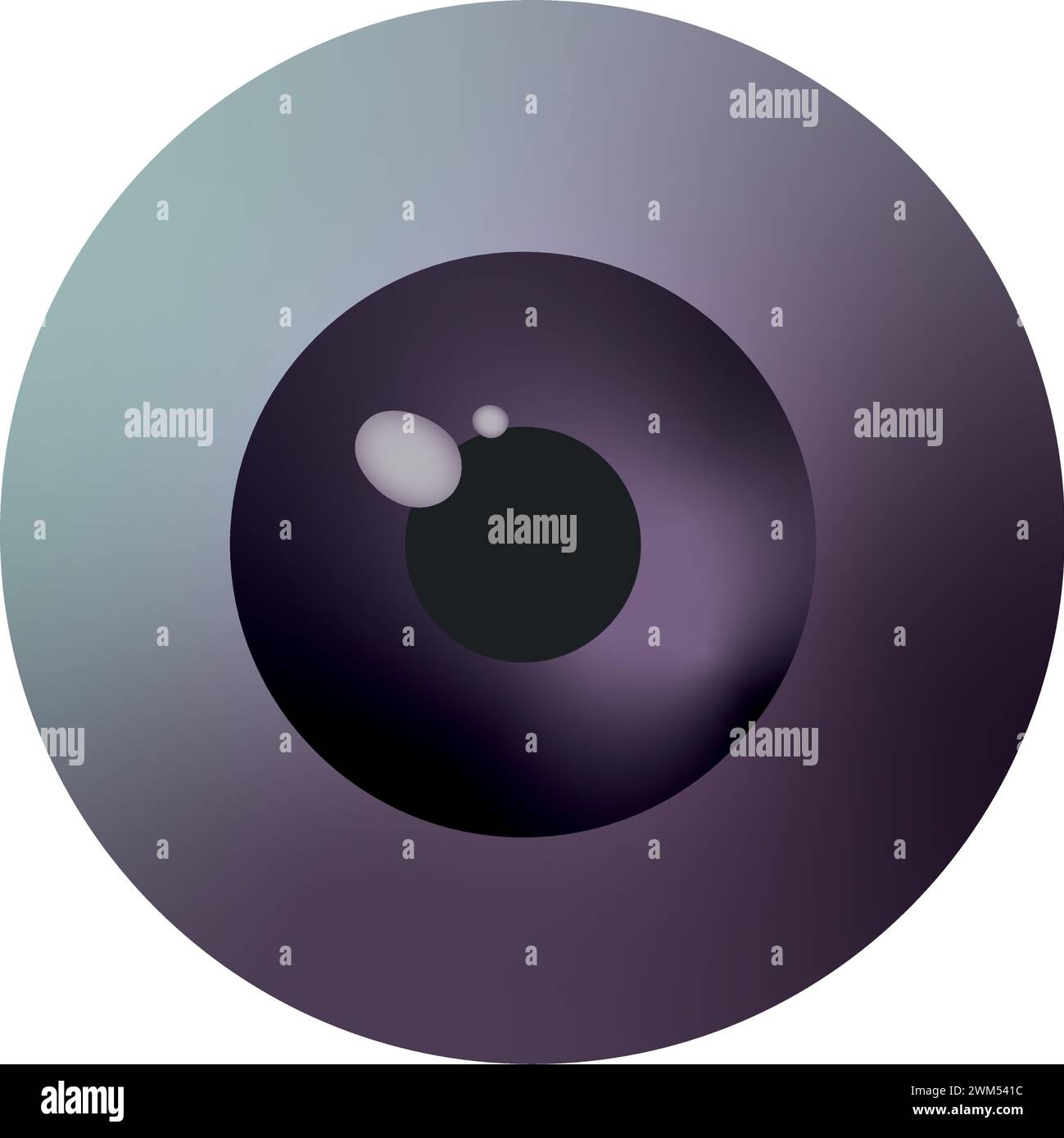 Colored detailed eyeball Vector Stock Vector Image & Art - Alamy