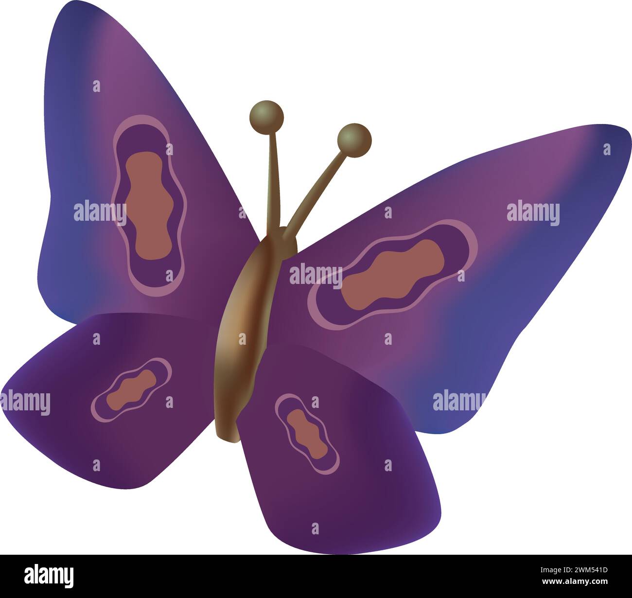 Colored detailed butterfly Vector Stock Vector Image & Art - Alamy