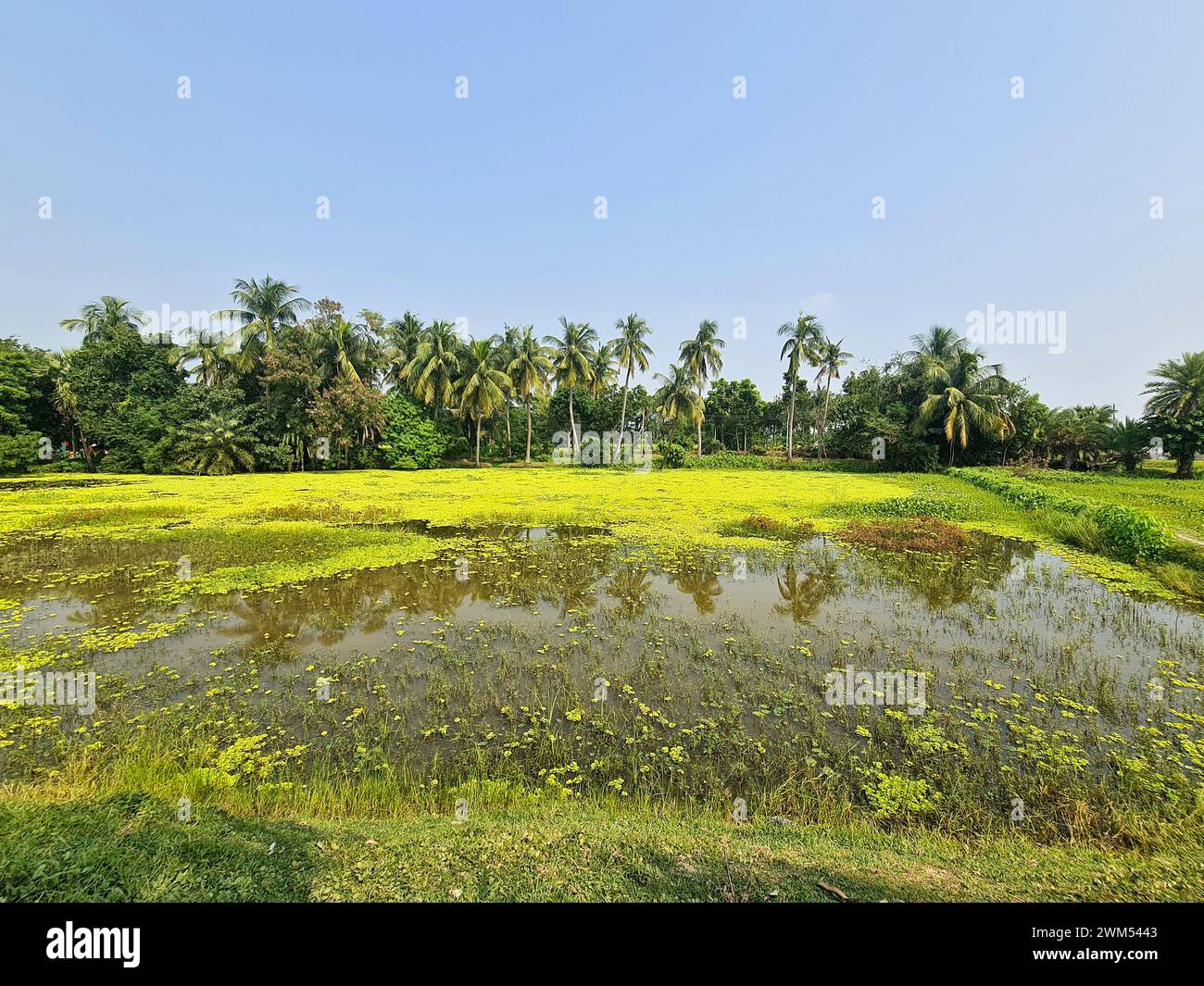 The beautiful rural village landscape of Sundarban Island at West ...
