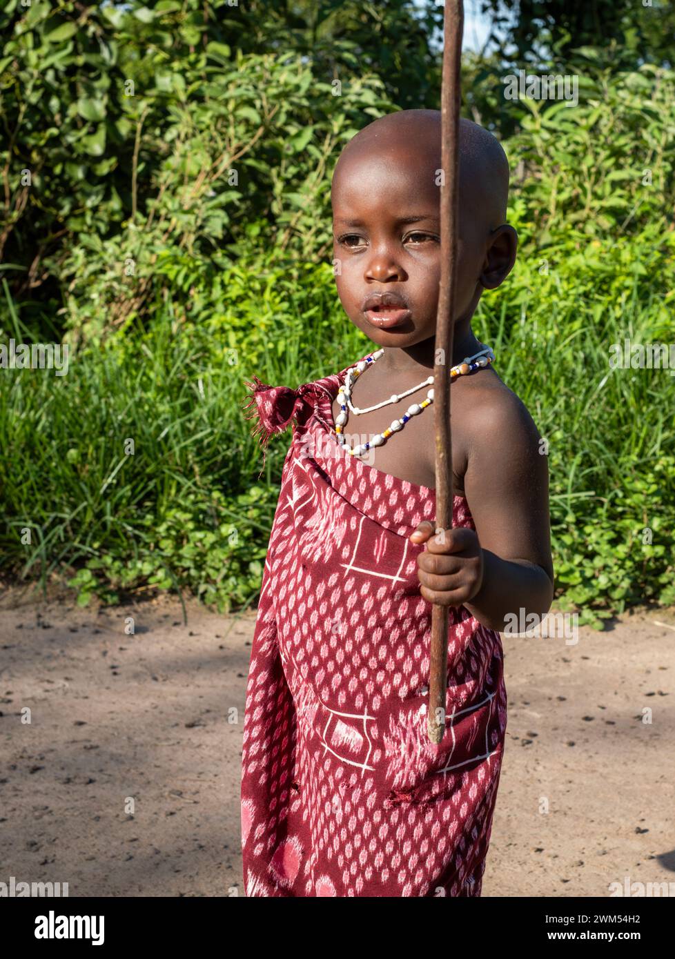 A young Maasai boy dressed in a shuka walks through her vilage in ...