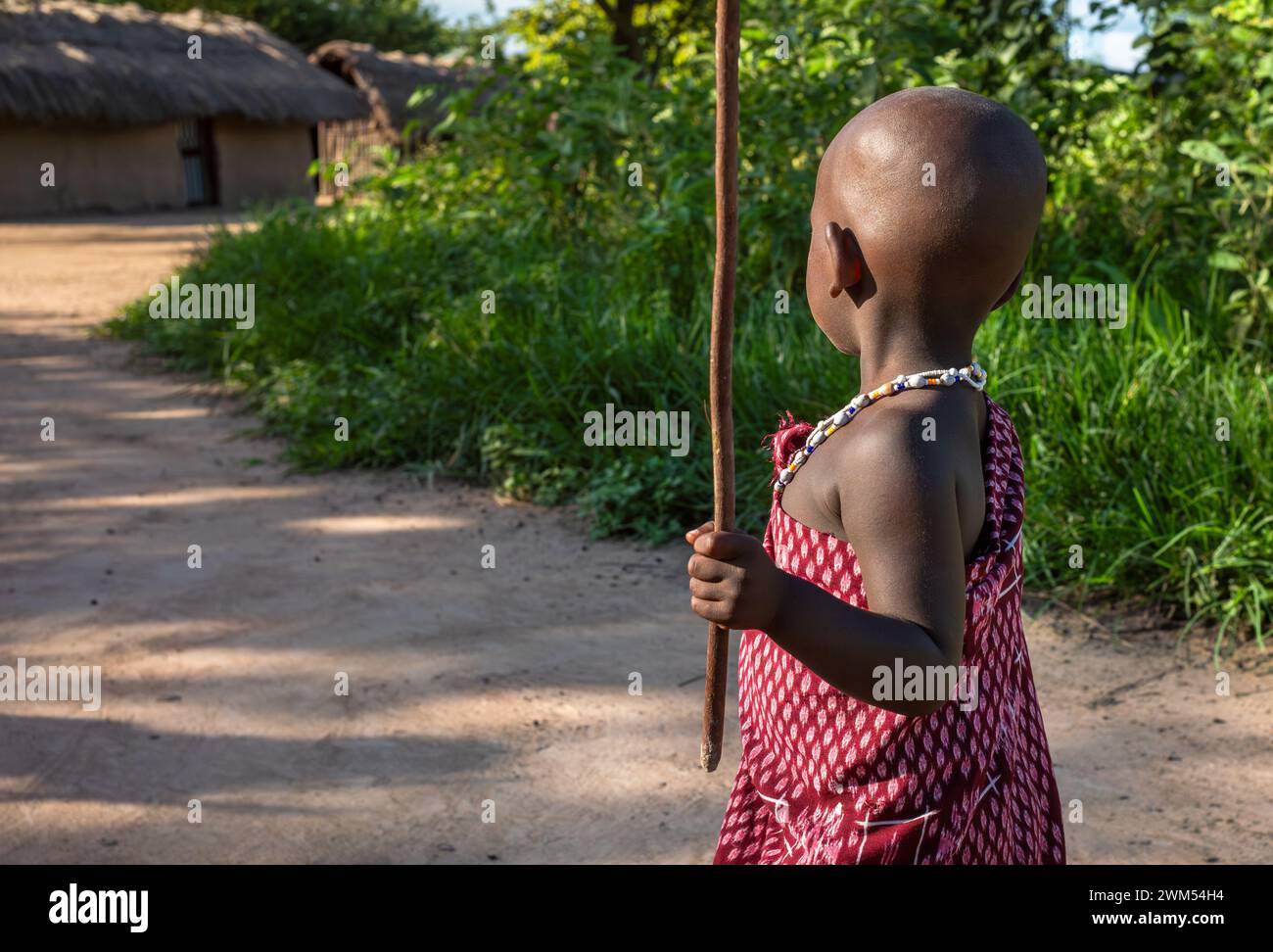 A young Maasai boy dressed in a shuka walks through her vilage in ...