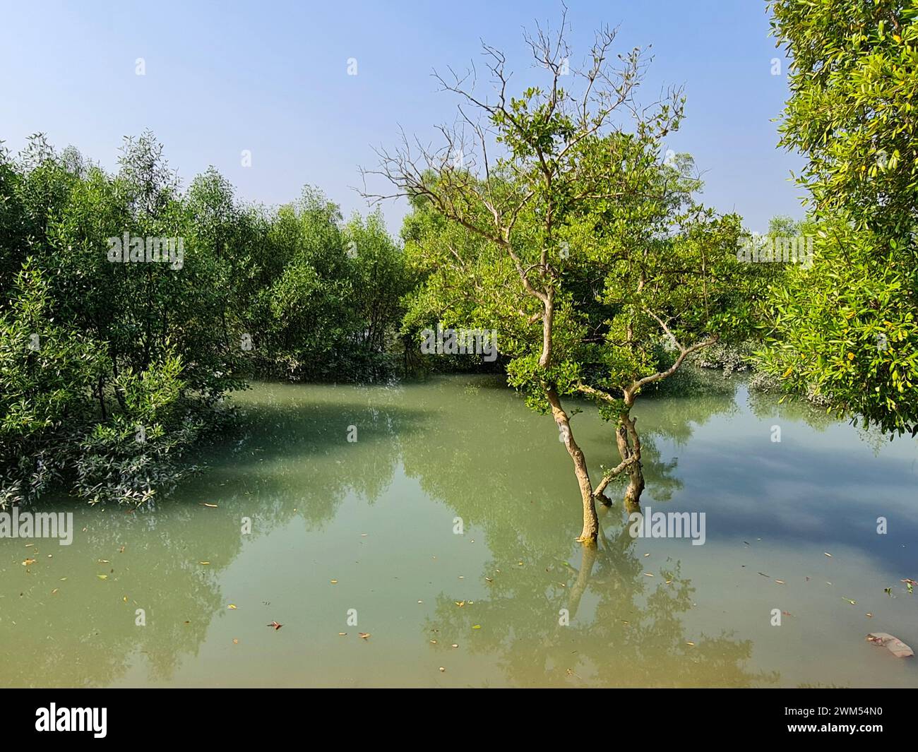 Rural life of sundarban island hi-res stock photography and images - Alamy