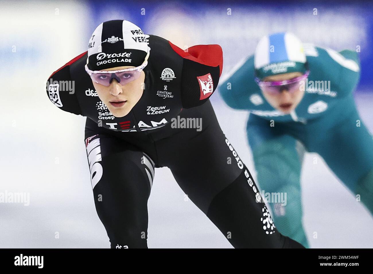 Robin groot hi-res stock photography and images - Alamy