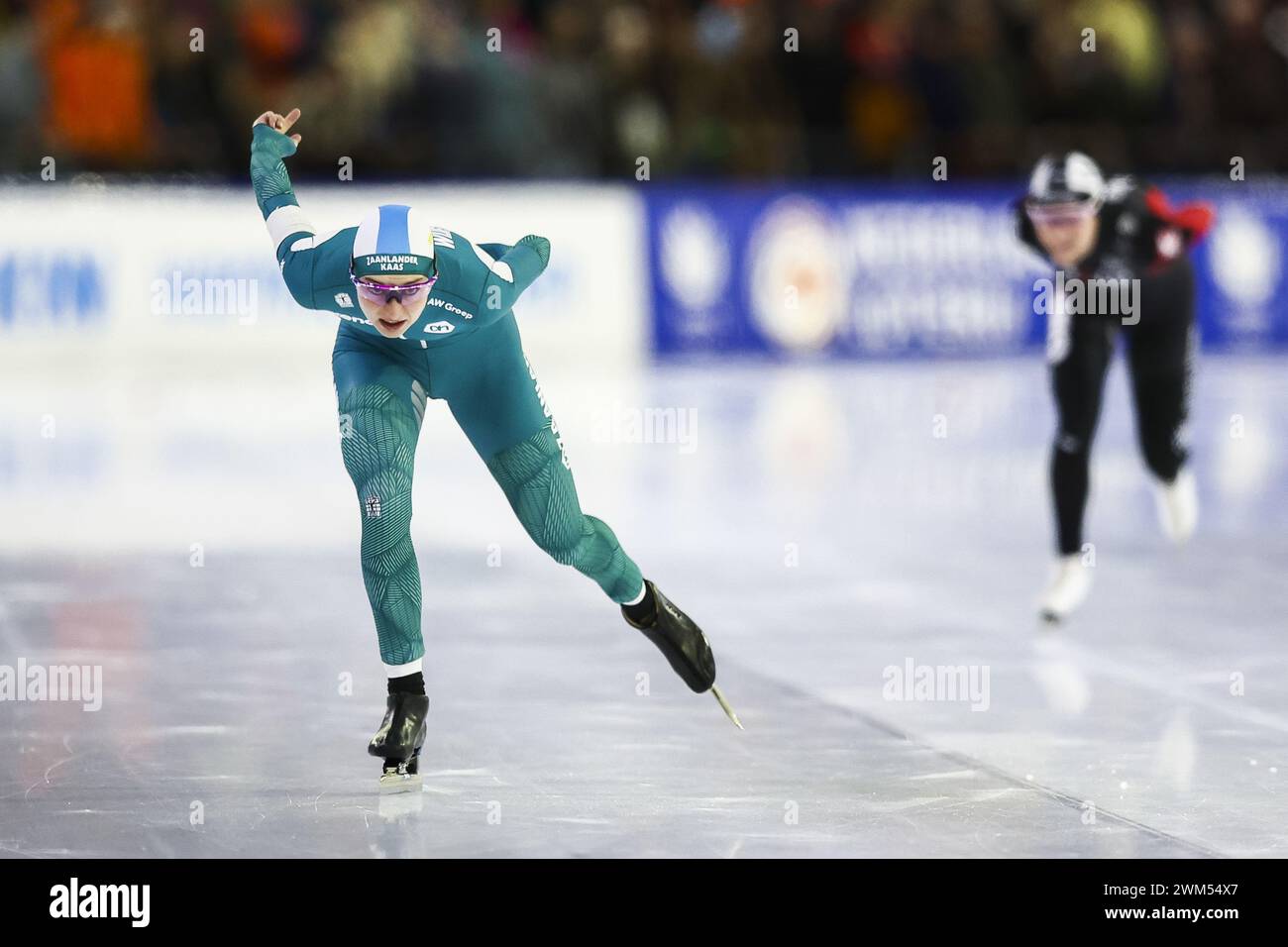 Robin groot hi-res stock photography and images - Alamy