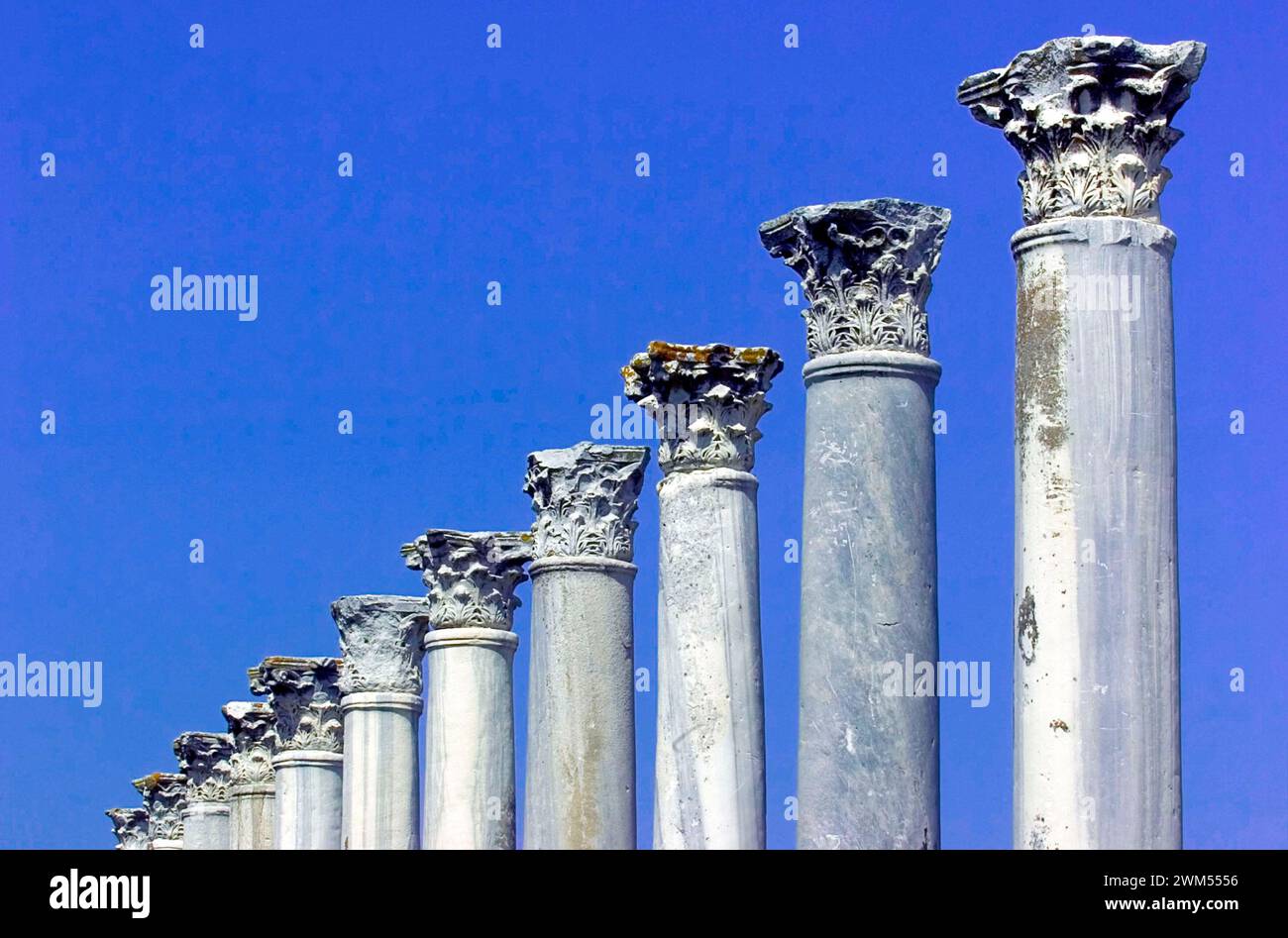Remains of the Roman high school in Salamis. The ancient city on the ...