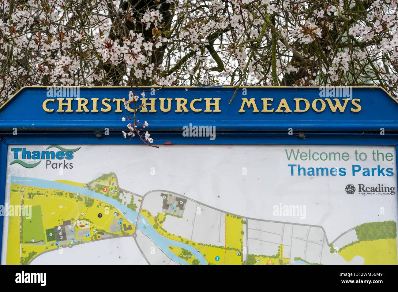 Christchurch Meadows Sign, with Cherry Tree, Caversham, Reading ...