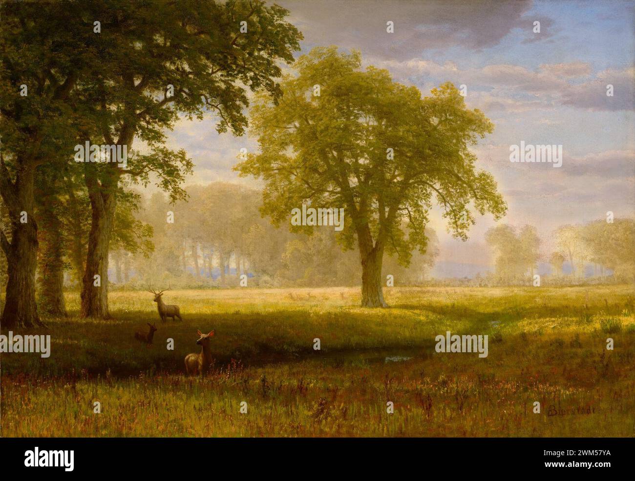 Oak grove historical hi-res stock photography and images - Alamy