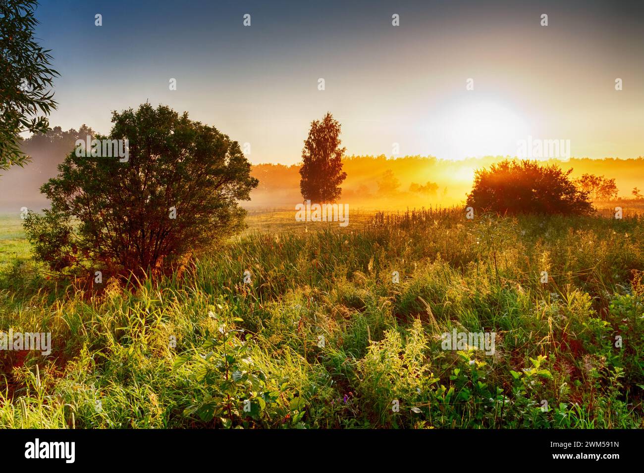 Landscape sunset in Narew river valley, Poland Europe, foggy misty ...