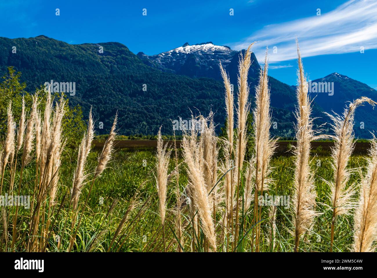 Trekking through Peulla, Chile, Andean Crossing Stock Photo - Alamy