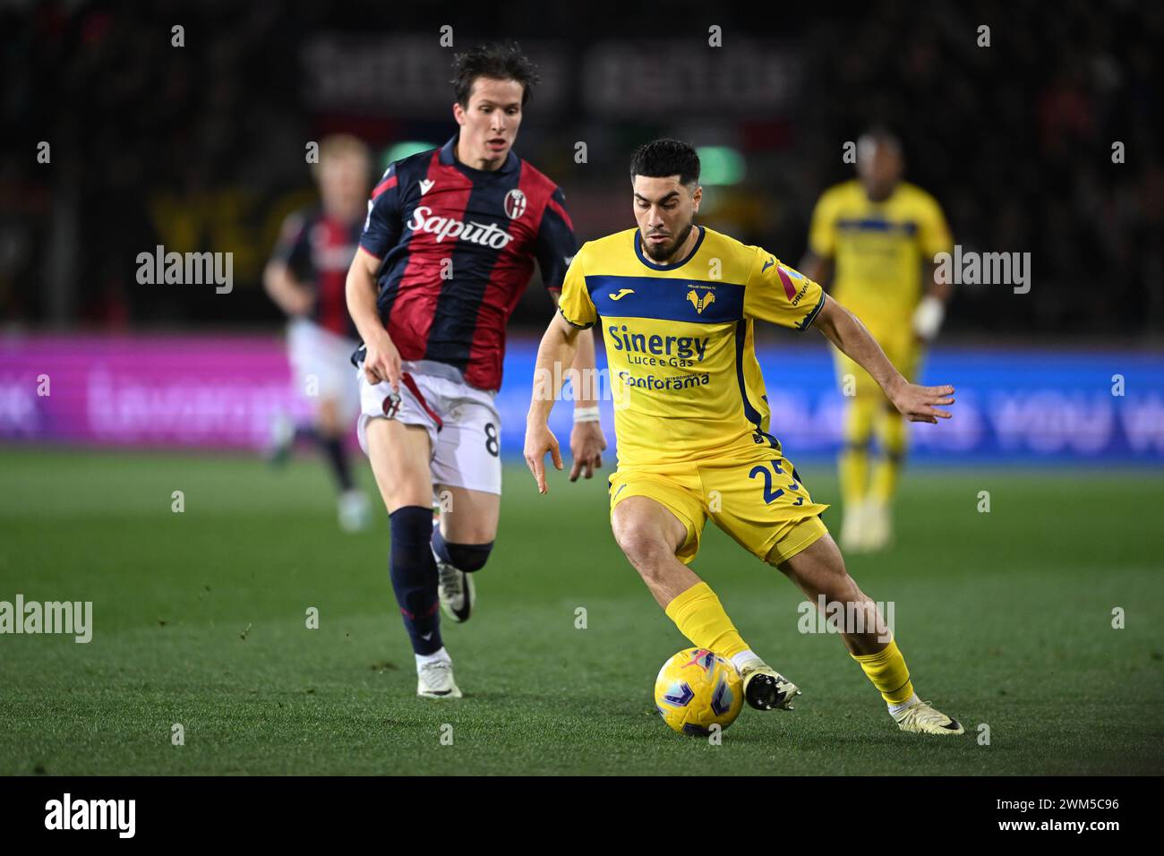 Suat Serdar (Hellas Verona)Giovanni Fabbian (Bologna) during the ...