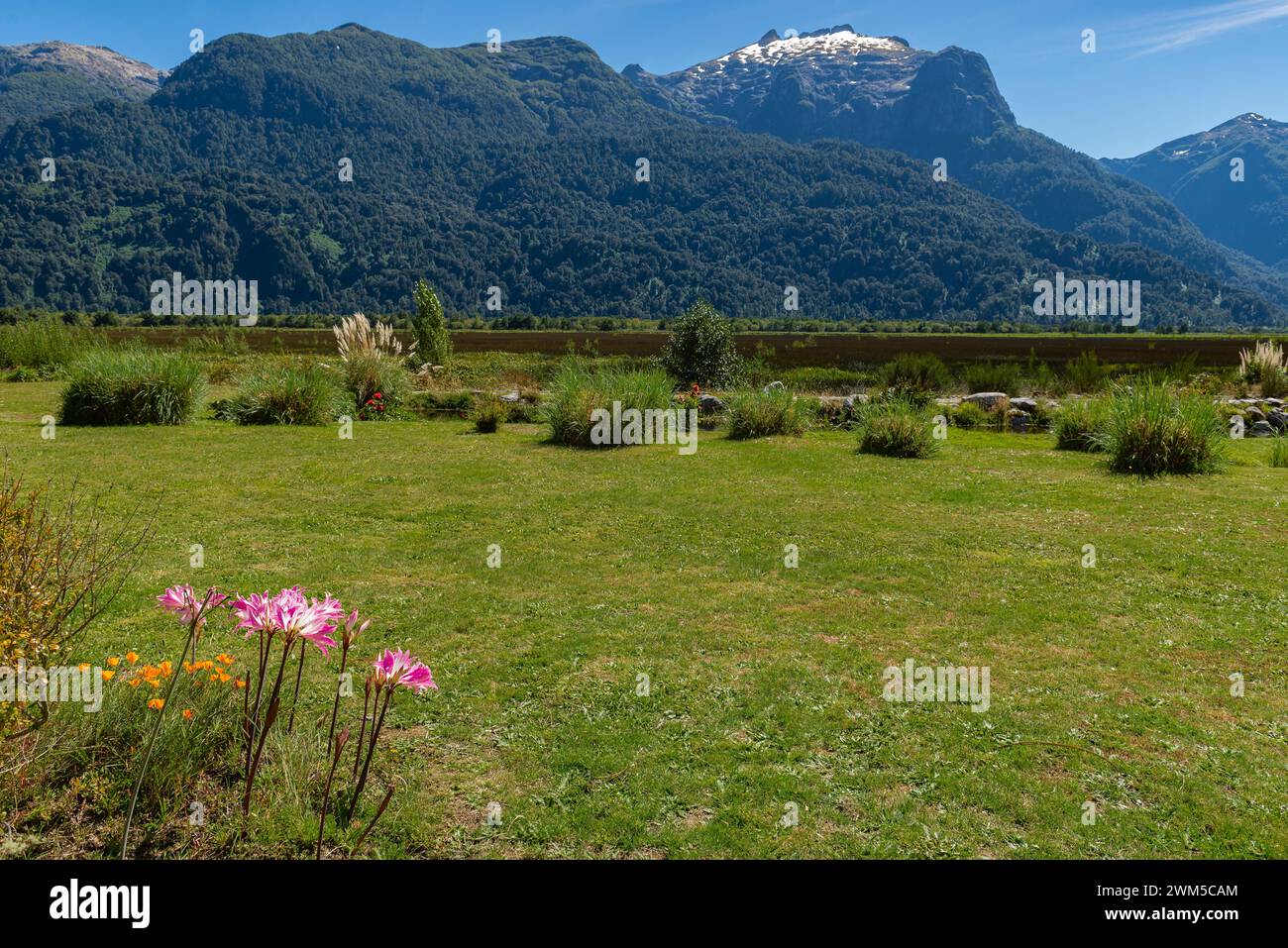Trekking through Peulla, Chile, Andean Crossing Stock Photo - Alamy
