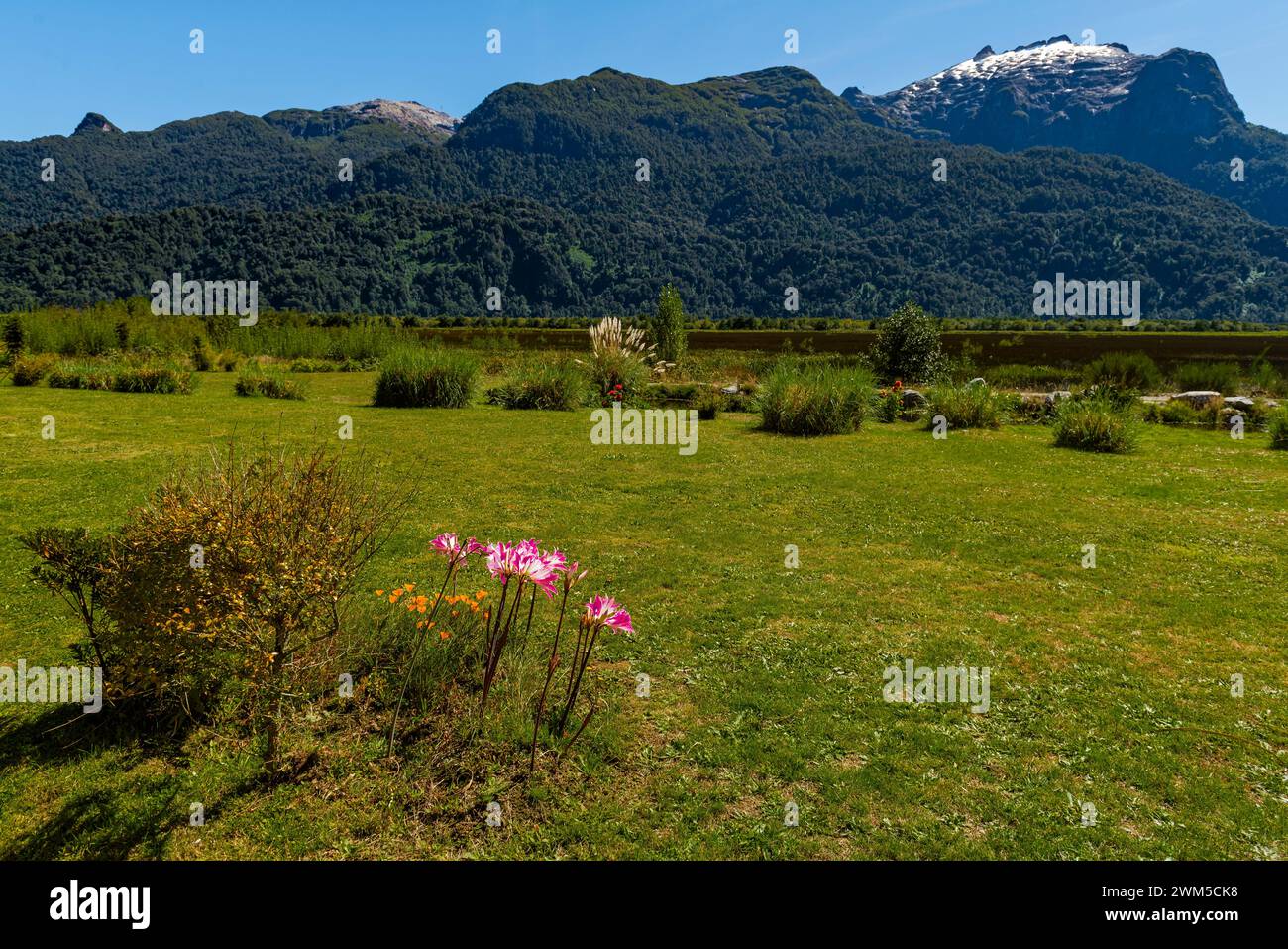 Trekking through Peulla, Chile, Andean Crossing Stock Photo - Alamy