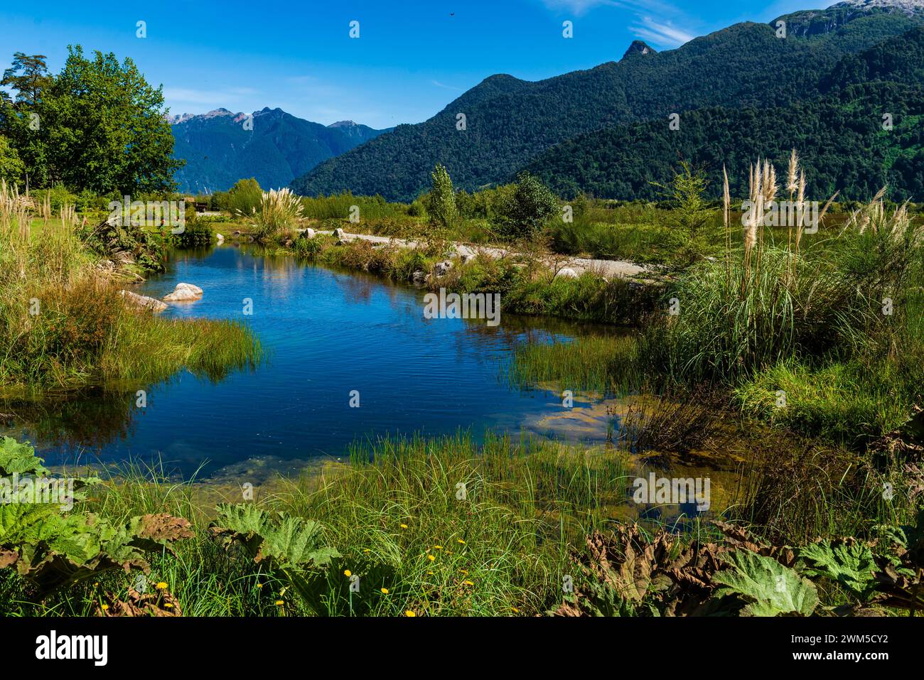 Trekking through Peulla, Chile, Andean Crossing Stock Photo - Alamy