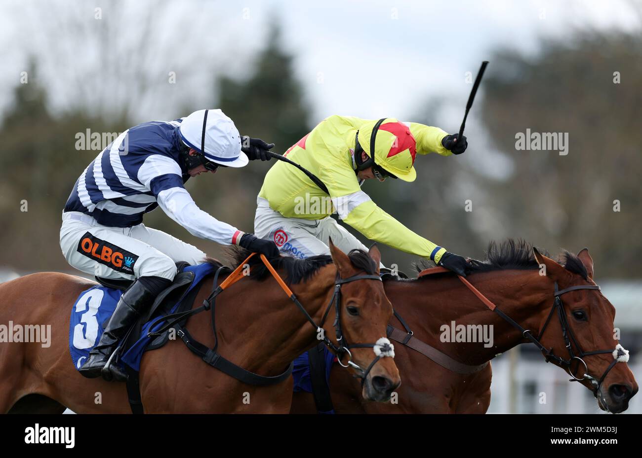 Kalif du berlais horse hi-res stock photography and images - Alamy