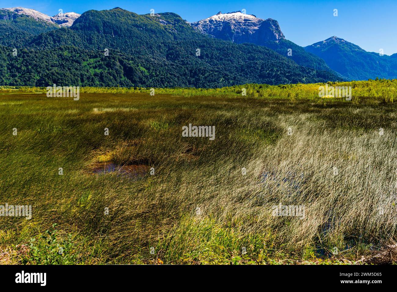 Trekking through Peulla, Chile, Andean Crossing Stock Photo - Alamy
