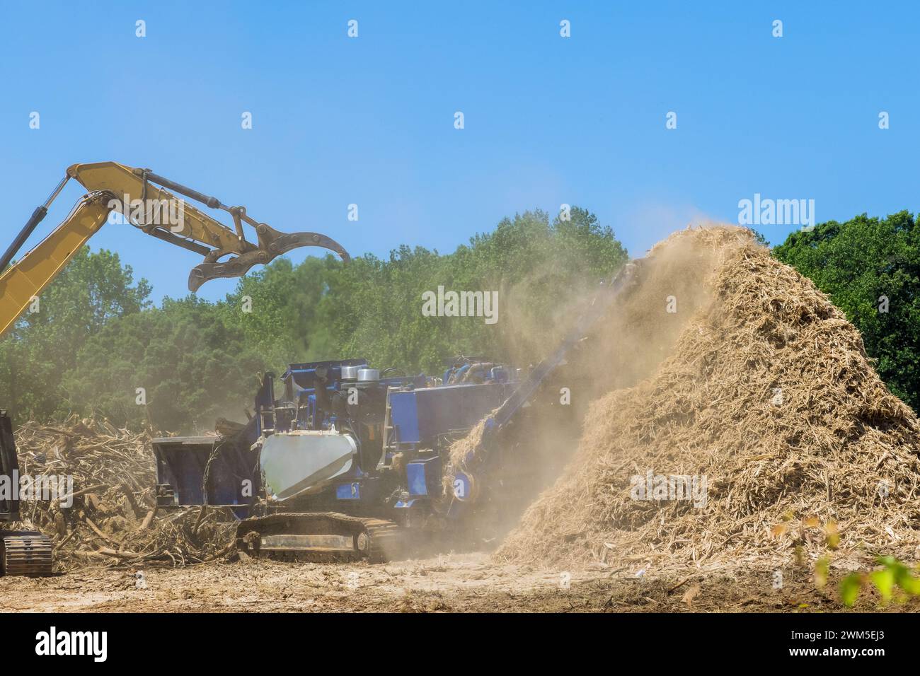 Forest mulcher is loaded with roots trees to be chopped by an ...