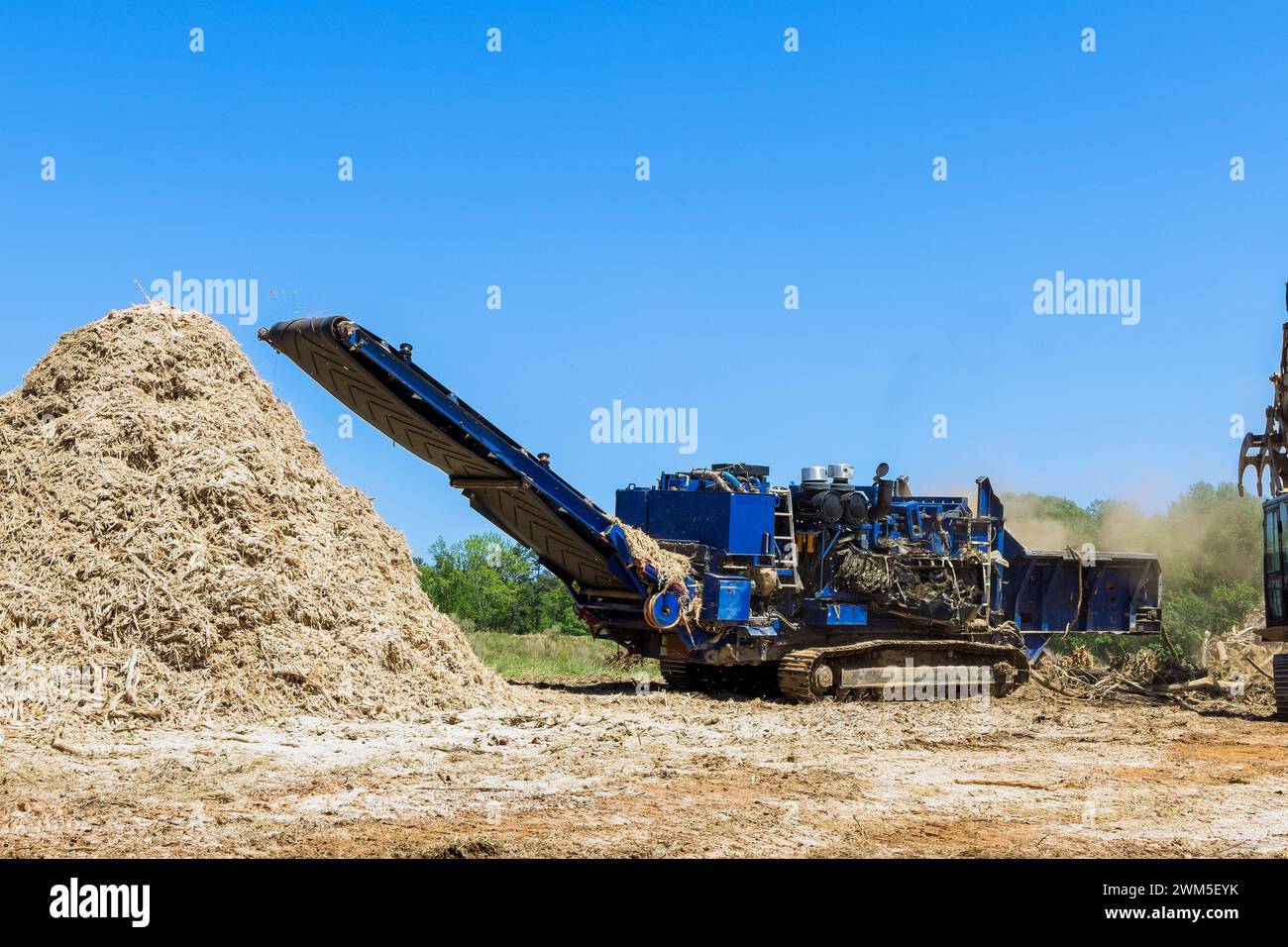 In process of loading roots trees into an industrial shredder machine ...