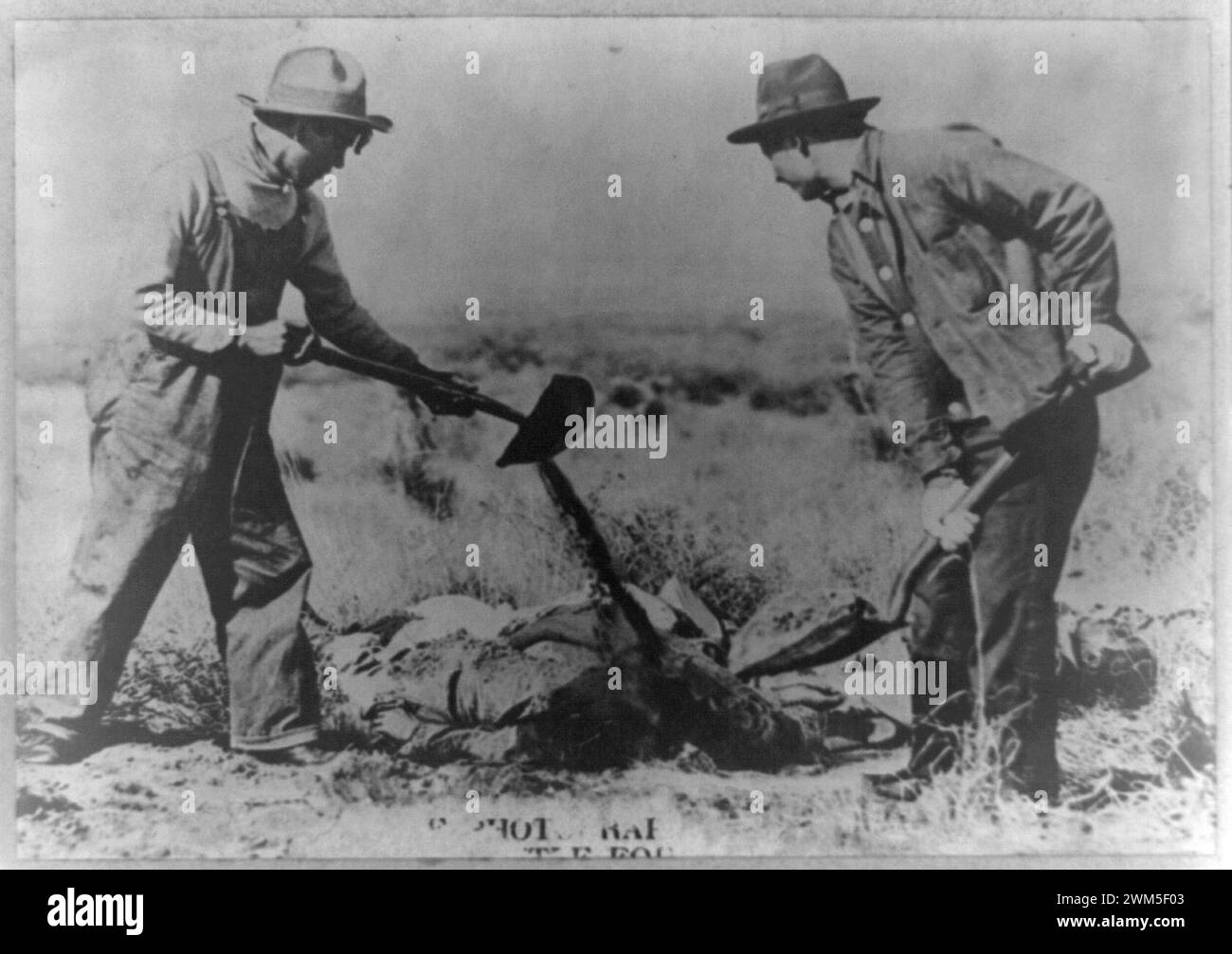 Battlefield of La Mesa. Burying the dead where they fell in Battle of ...
