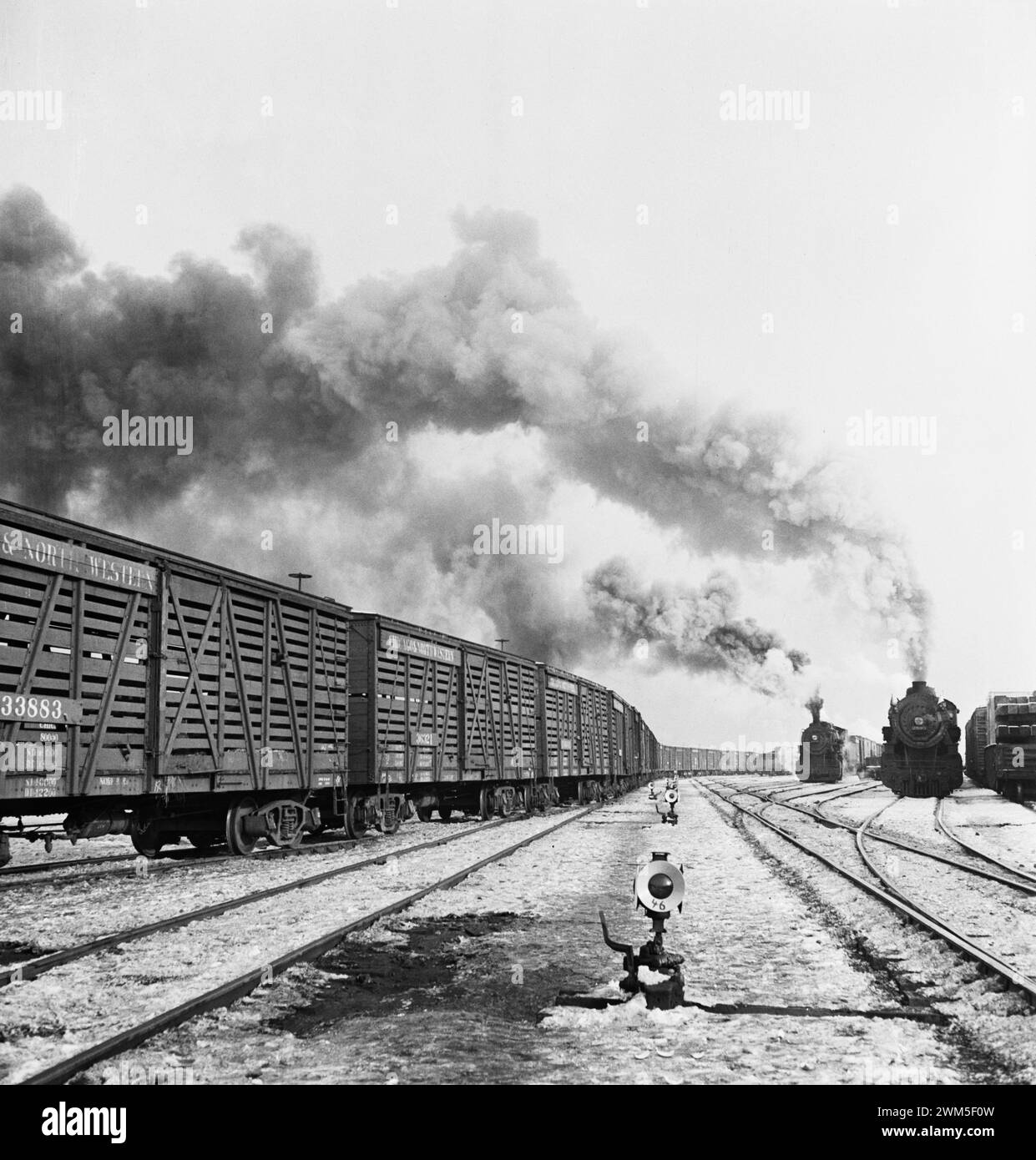 Steam train - Chicago, Illinois. Cattle train coming into a Chicago and ...