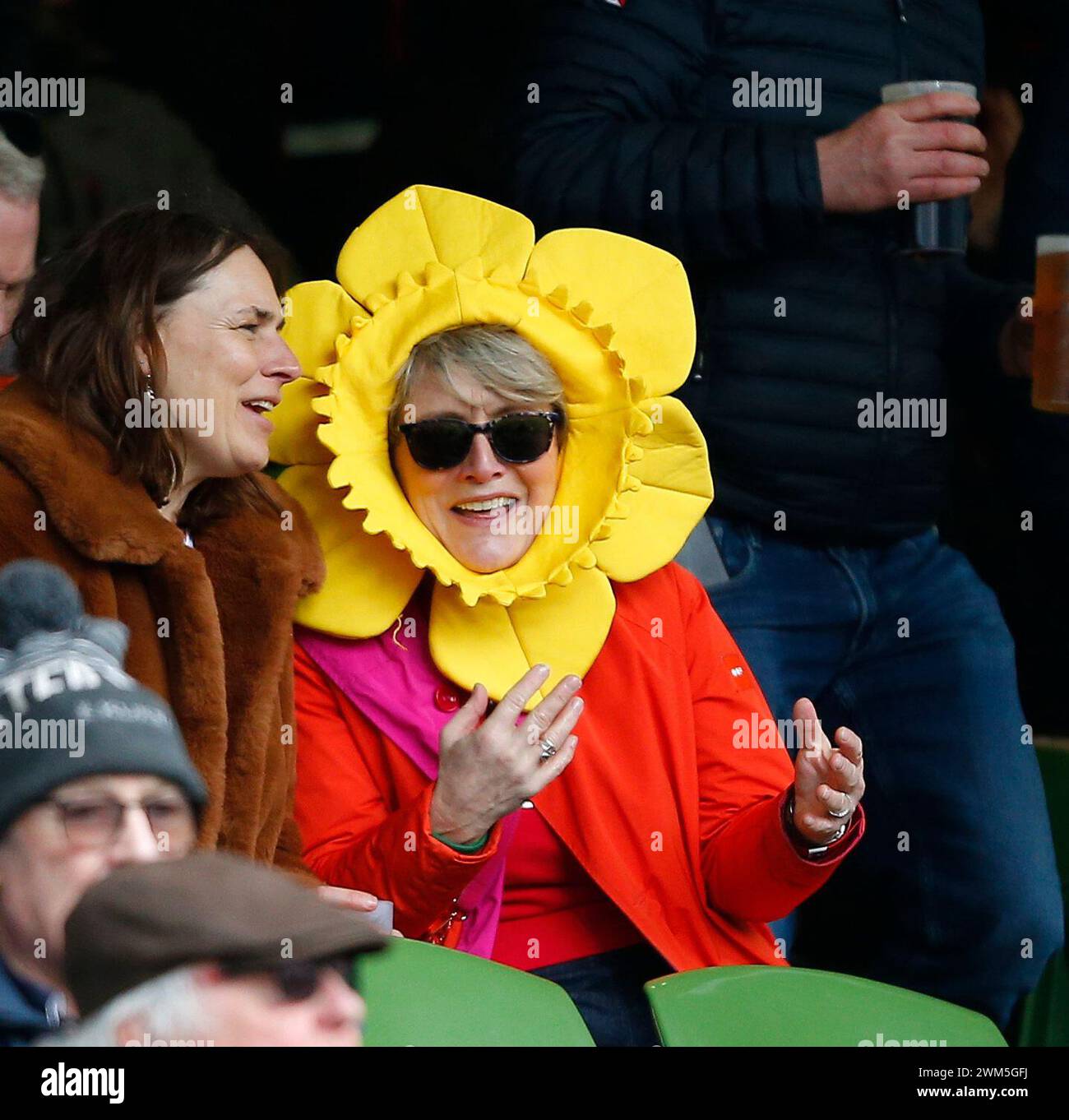 Dublin, Ireland. 24th February 2024; Aviva Stadium, Dublin, Ireland ...