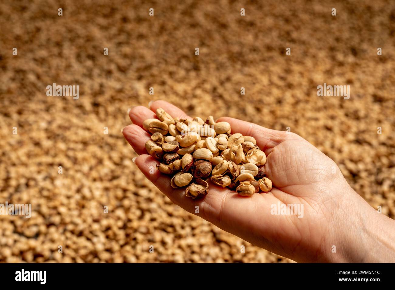 Waste drying plant hi-res stock photography and images - Alamy