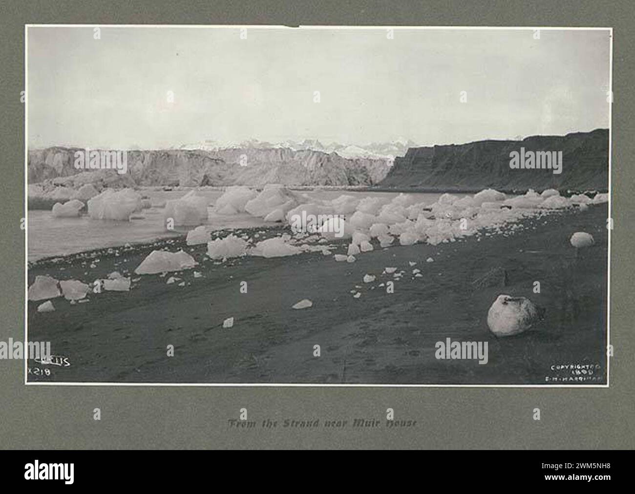 Beach near John Muir's cabin, east end of Muir Glacier, Alaska, June ...