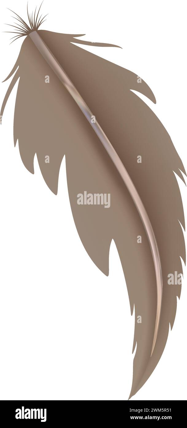 Colored detailed feather Vector Stock Vector Image & Art - Alamy